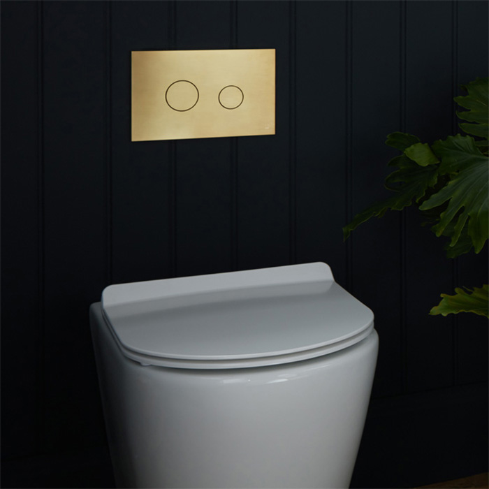 Vado Individual Round Dual Flush Plate Brushed Gold - IND-195-RO-BRG